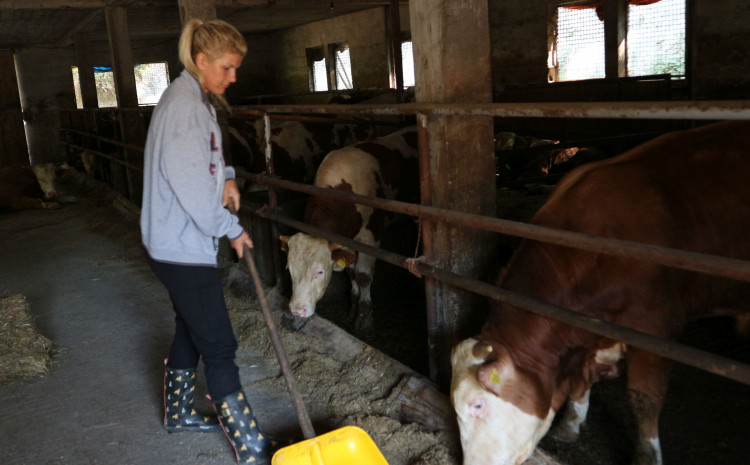 Zijada Efendić diplomu Ekonomskog fakulteta odložila i osnovala farmu ...