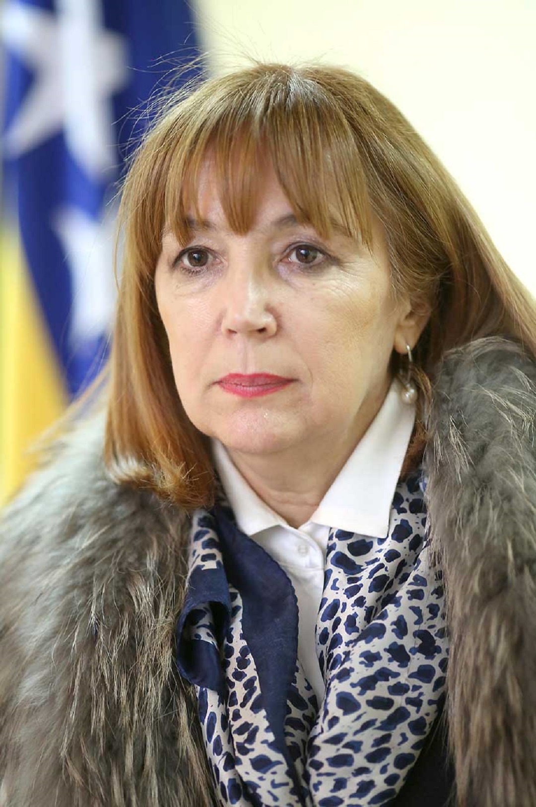 Mahmutbegović: Tvrdnje iz HDZ-a su neutemeljene, Opći izbori 2022. se ...