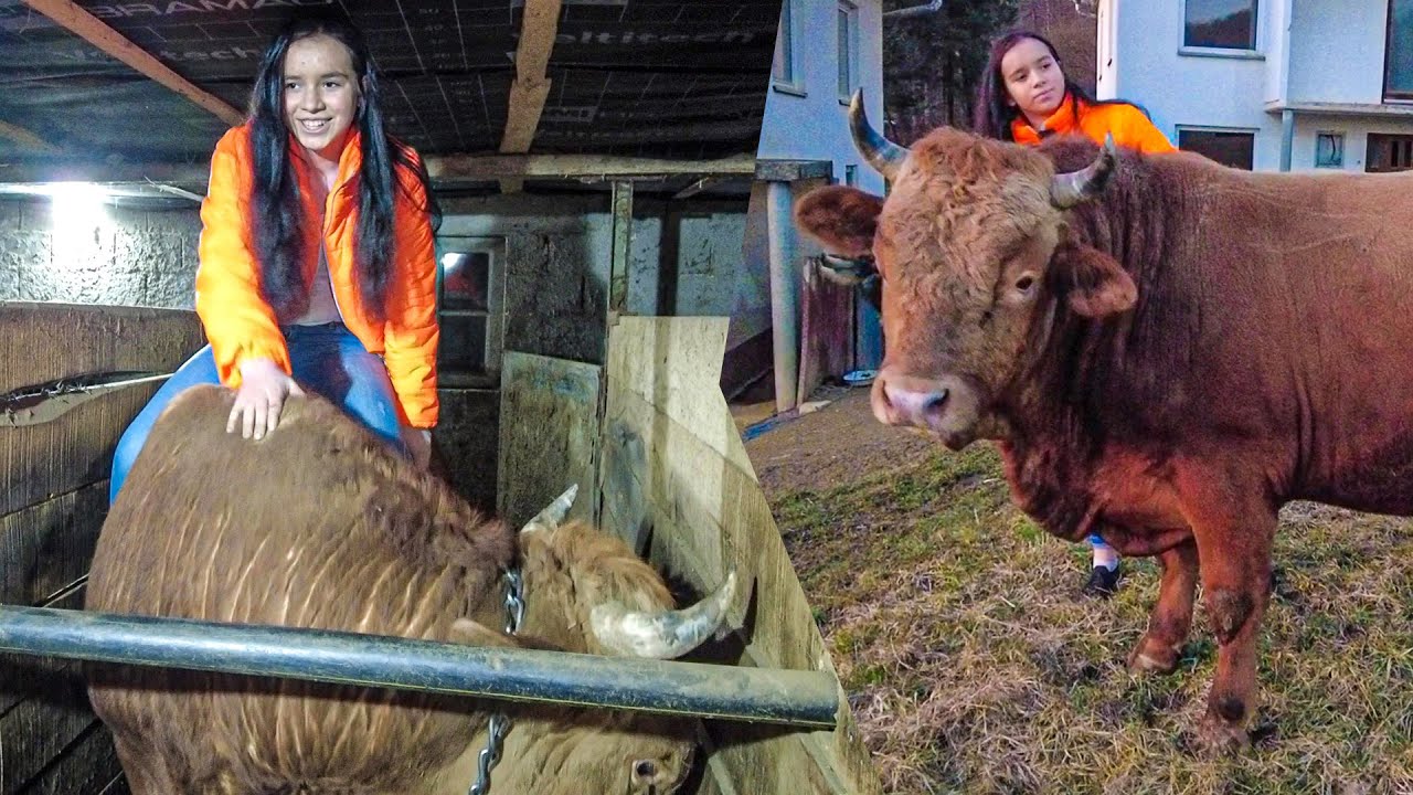 Emina Ćatić ima samo 16 godina: Trenira bikove i ide na koride - Bug.ba ...